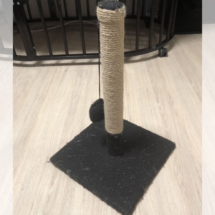 Когтеточка