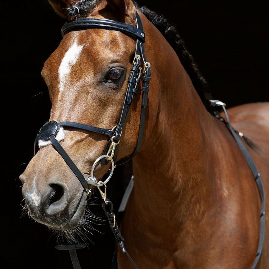 Оголовье/ Уздечка с мексиканским капсюлем