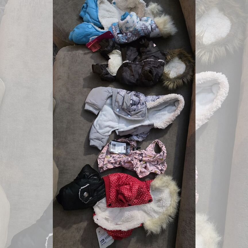 Одежда для собак