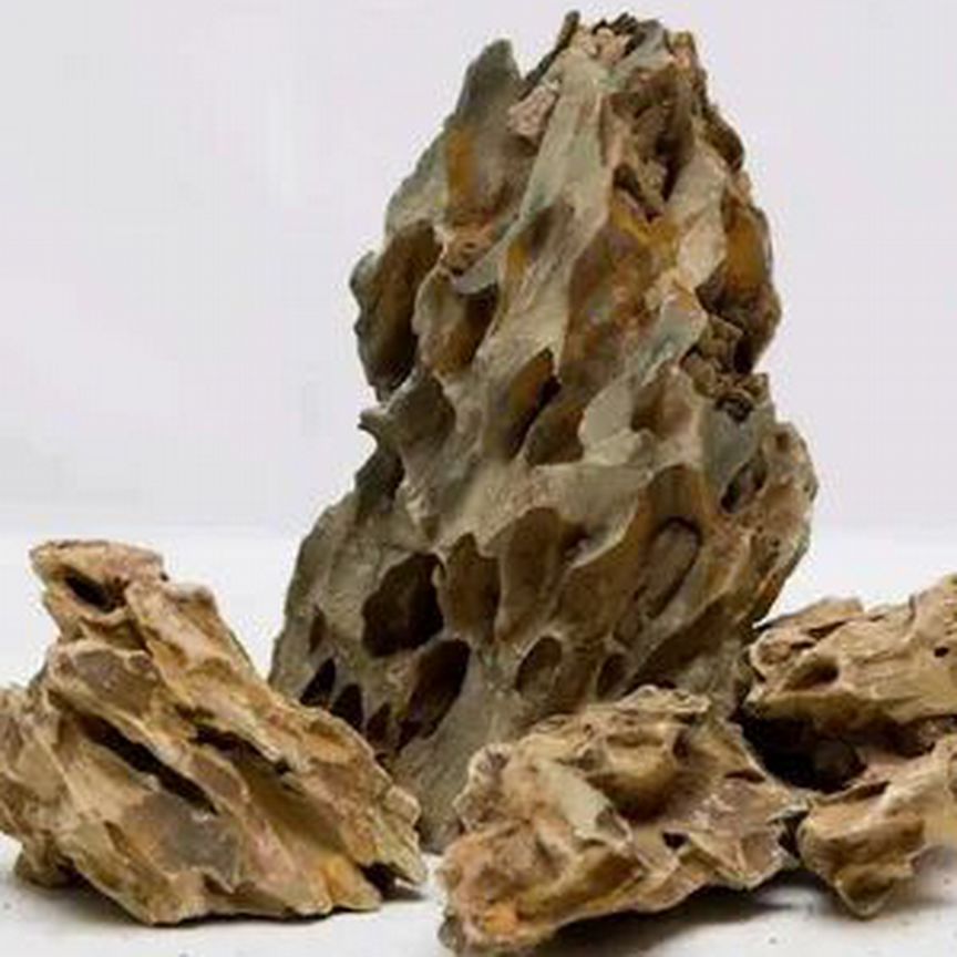 Камень дракон для аквариума