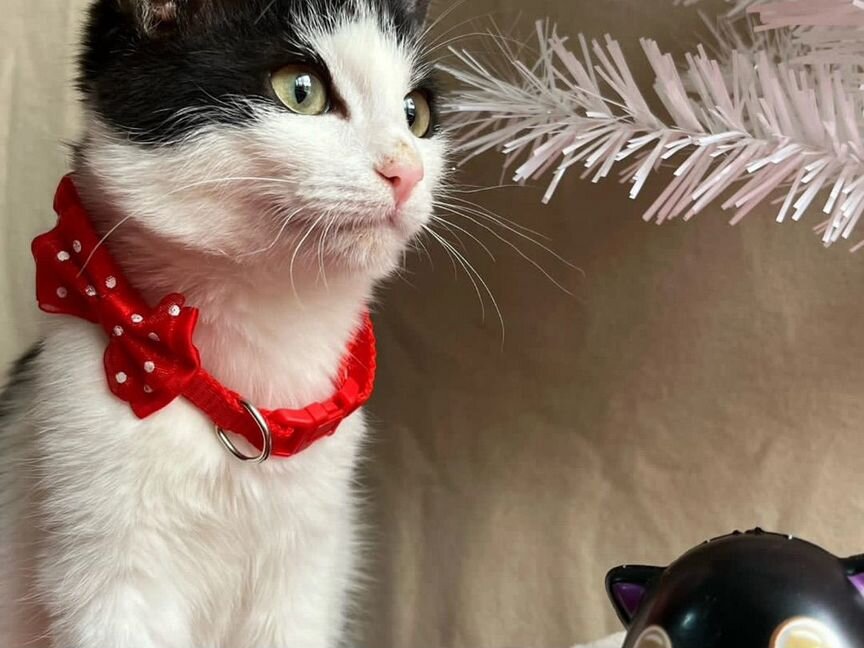 Малыш Филипп