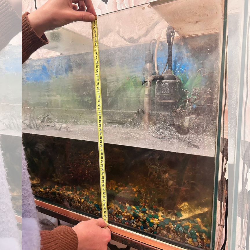 Аквариум на 10 литров