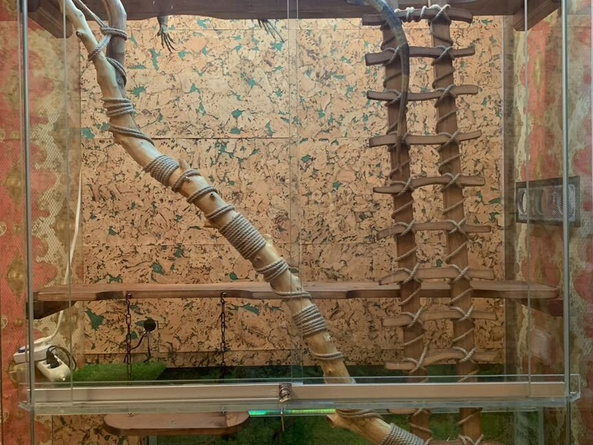 Террариум для игуаны