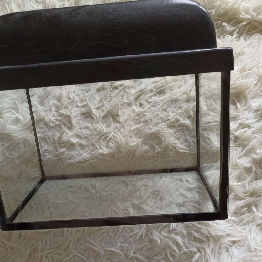 Аквариум террариум