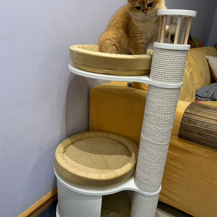 Когтеточка для кошки