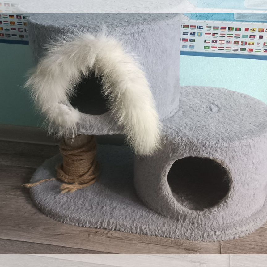 Когтеточка домик для кошки бу