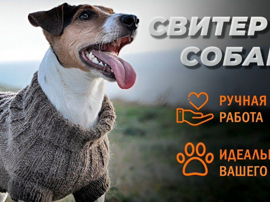 Свитер для собаки