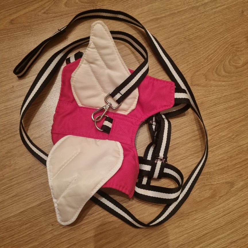 Одежда для собак