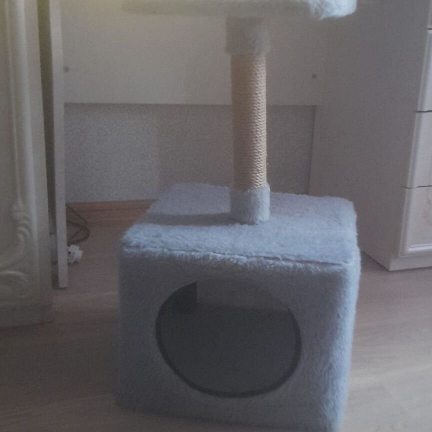 Когтеточка