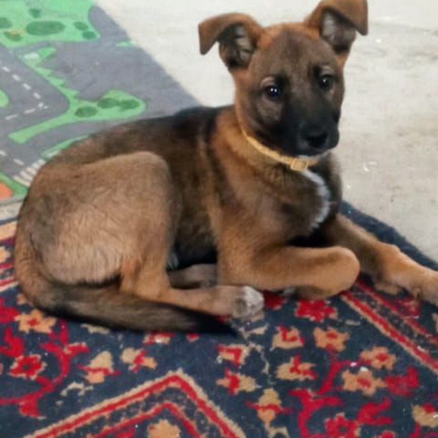 Вас ждёт Весна