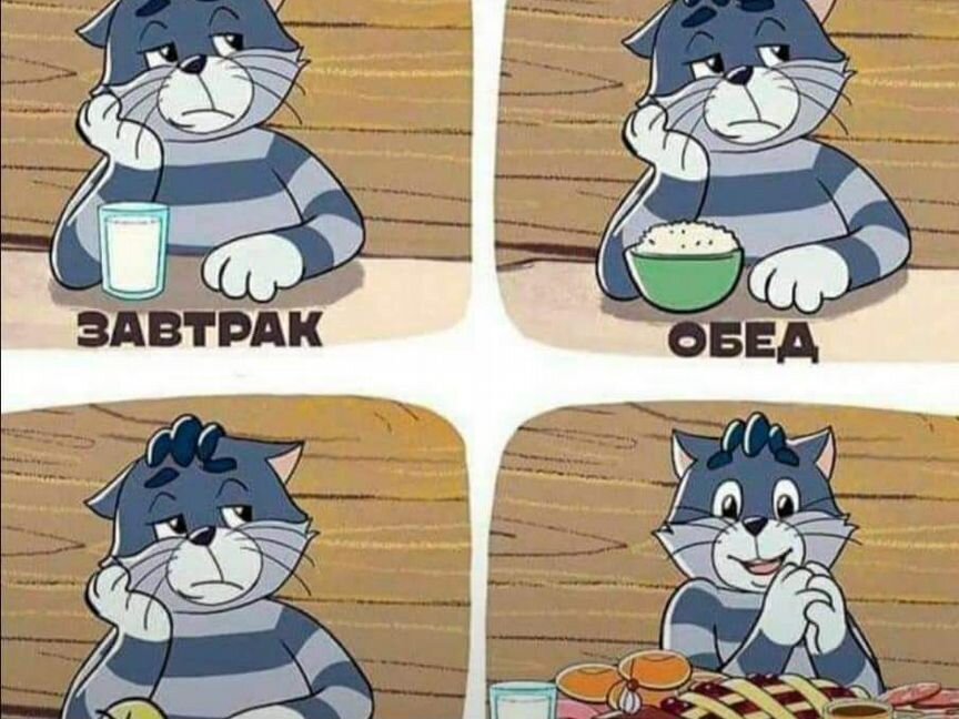 Попугаи, птицы - продаю время