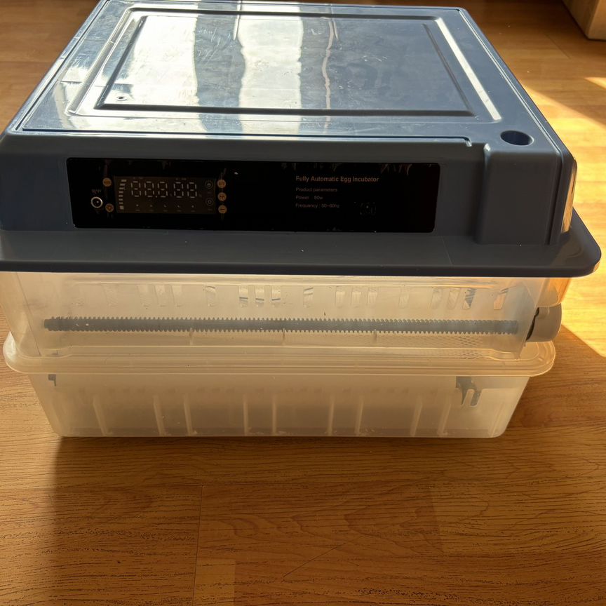 Китайский инкубатор