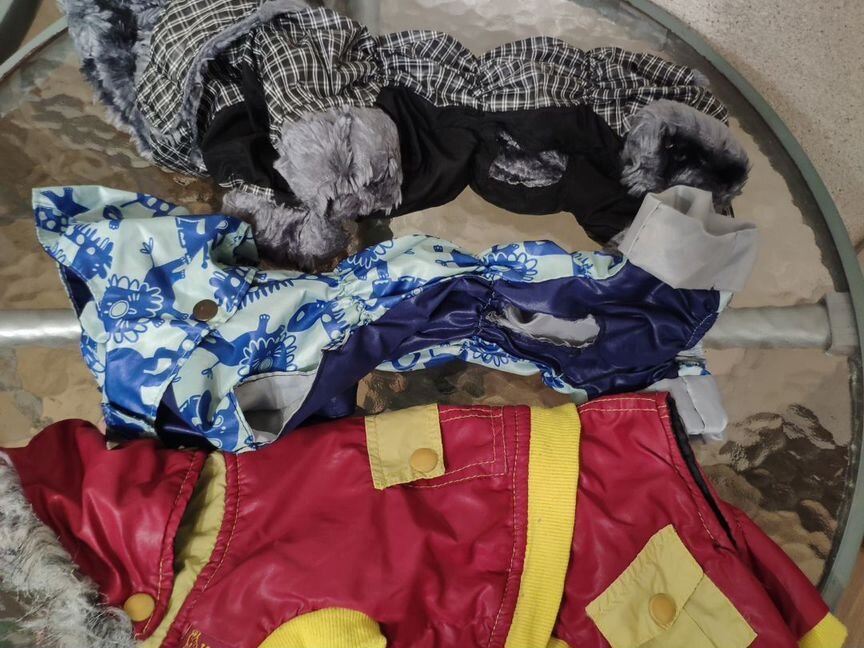 Отдам одежду комбинезоны для собаки чихуахуа