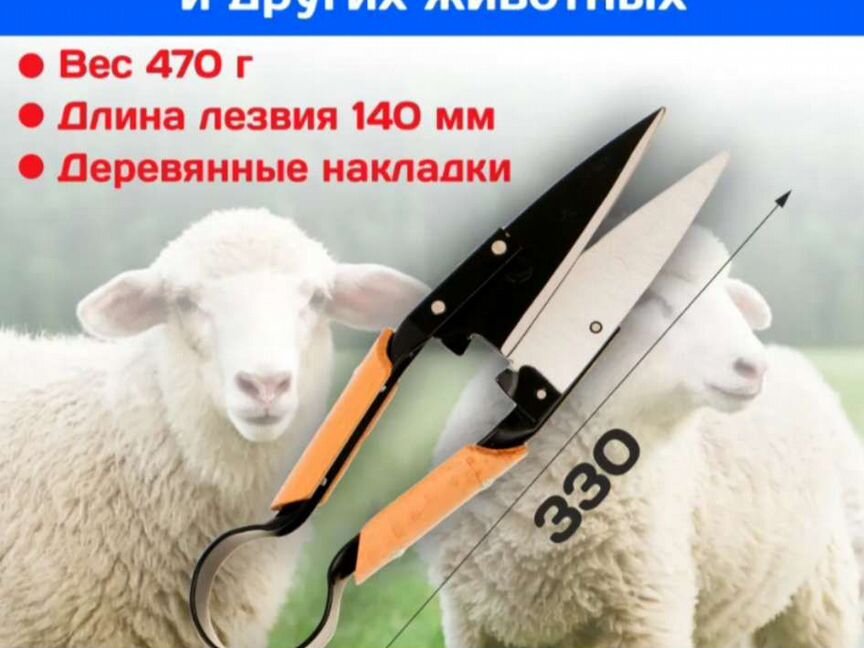 Ножницы для стрижки овец