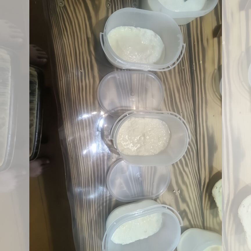 Уксусная угрица. Нематода. Живой корм