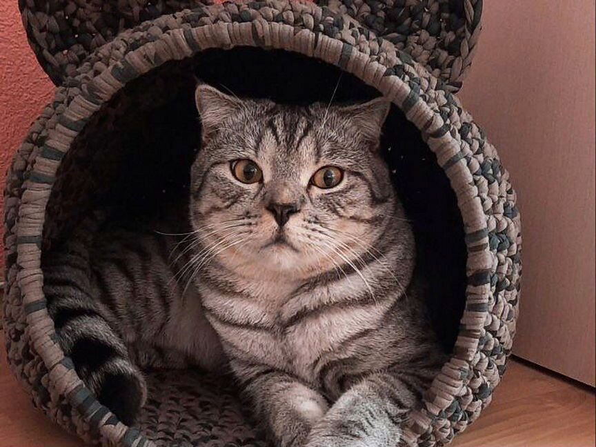 Домик лежанка для кота (котико-дом)