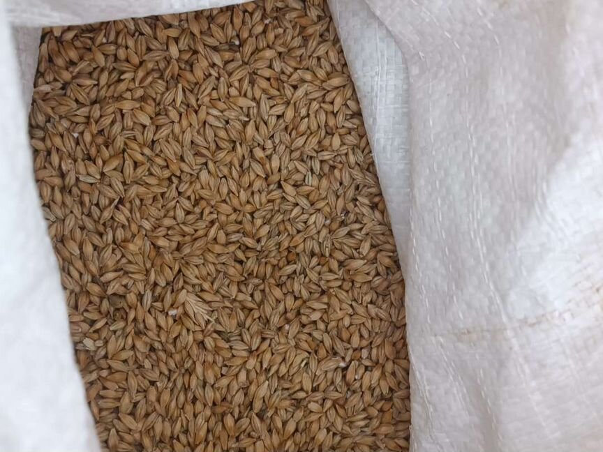 Ячмень, кукуруза, отруби, зерновая смесь