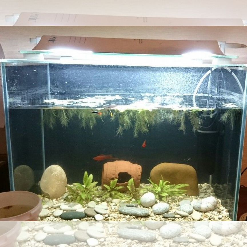Комплект аквариума 65 литров