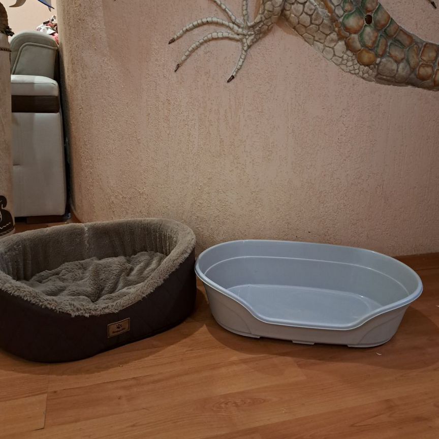 Лежанки для собак и кошек