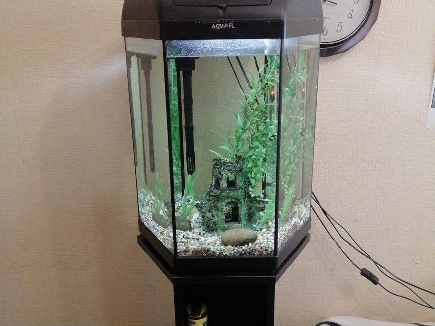Аквариум с тумбой