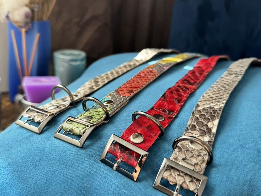 Ошейник из кожи питона