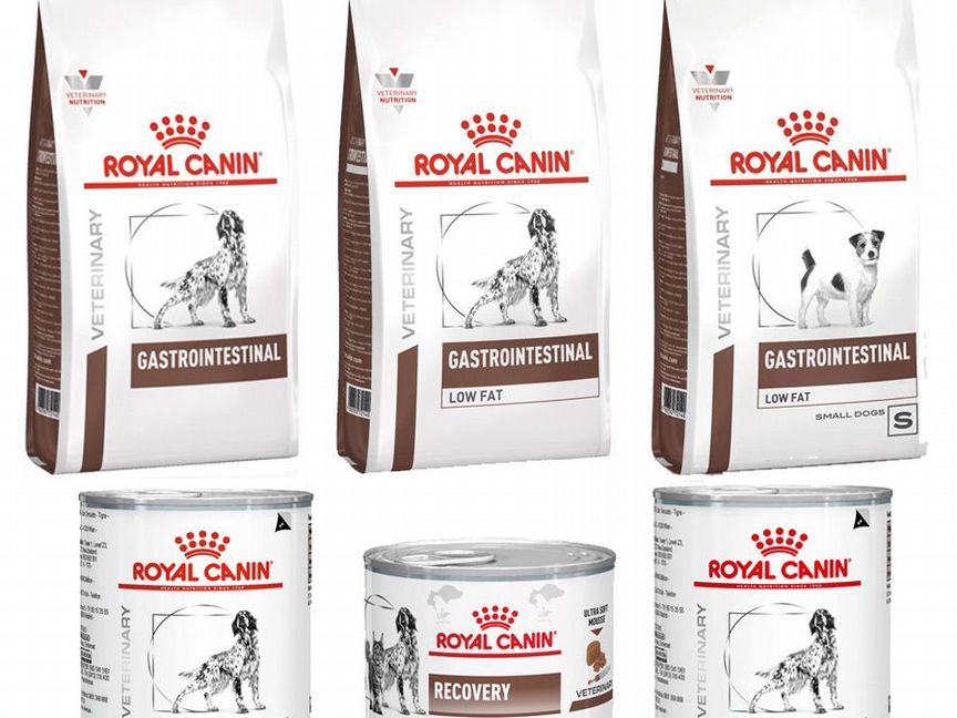 Корм для собак Роял Канин Гастро