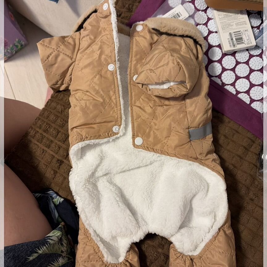 Одежда для маленьких собак