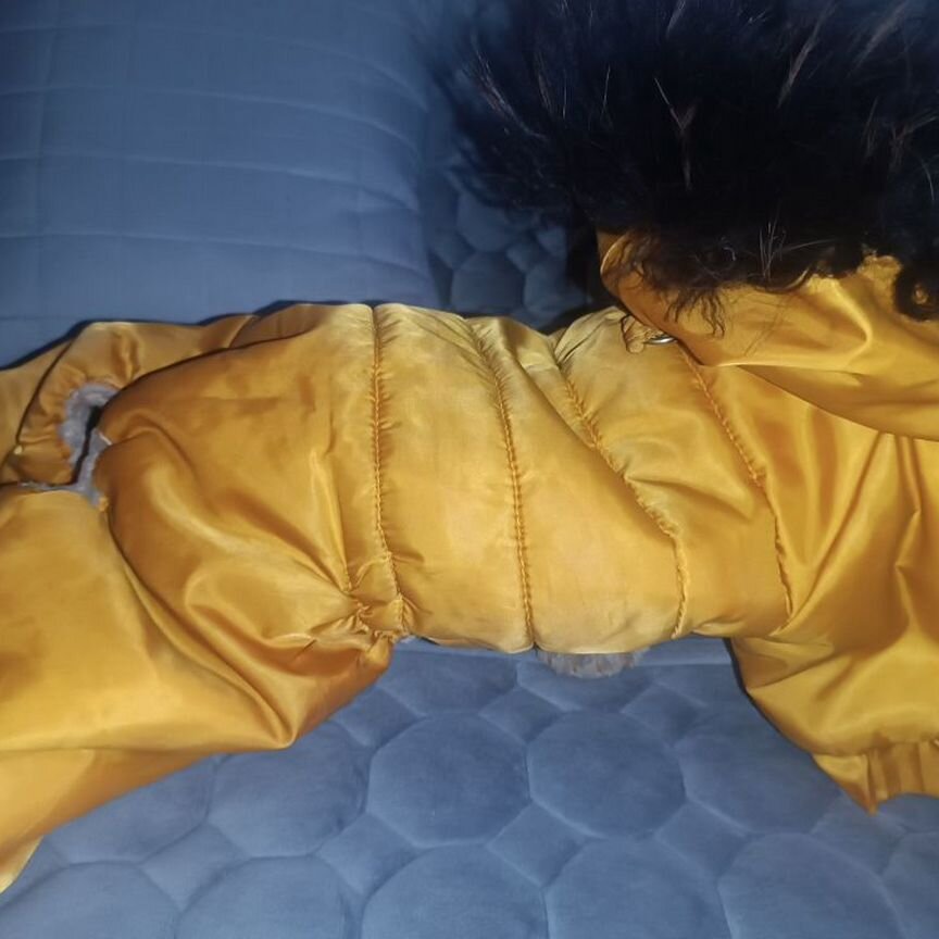 Костюм для собак мелких пород с натуральным мехом