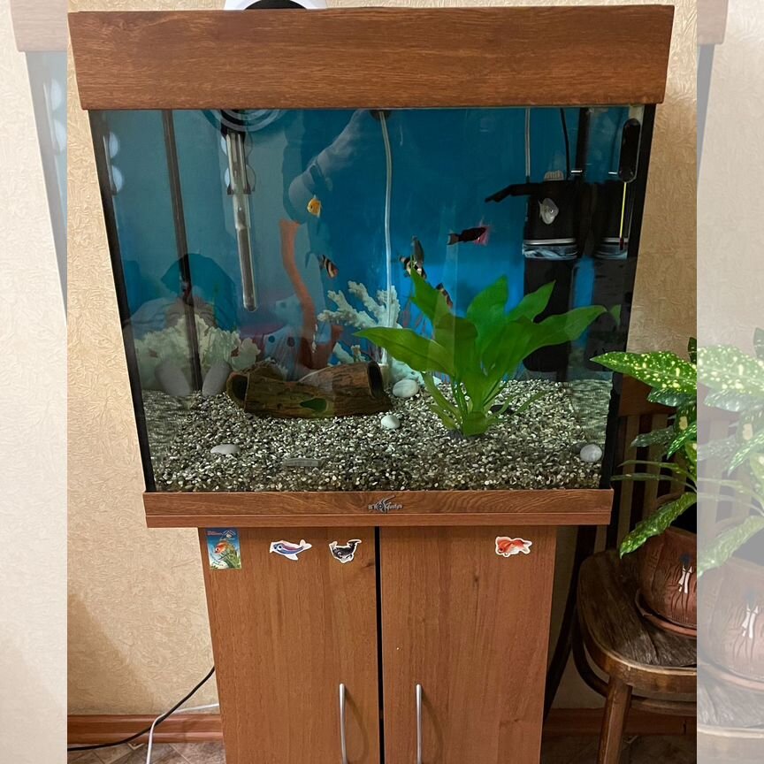 Аквариум бу с тумбой с рыбками