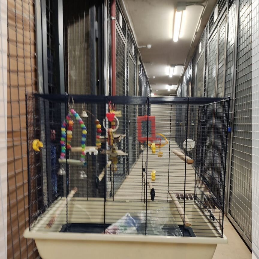 Клетка для средних попугаев