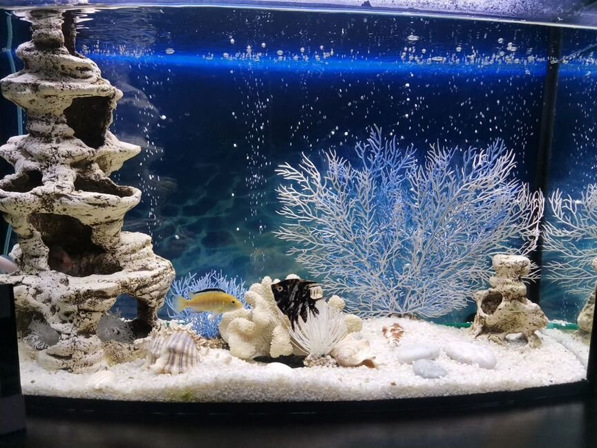 Аквариум 110 л