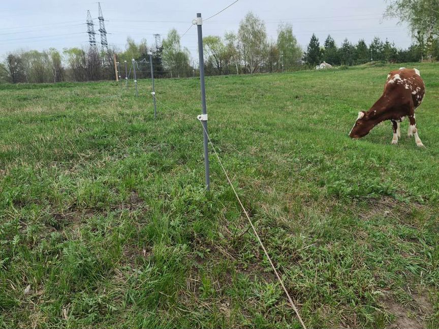 Проволока для электропастуха