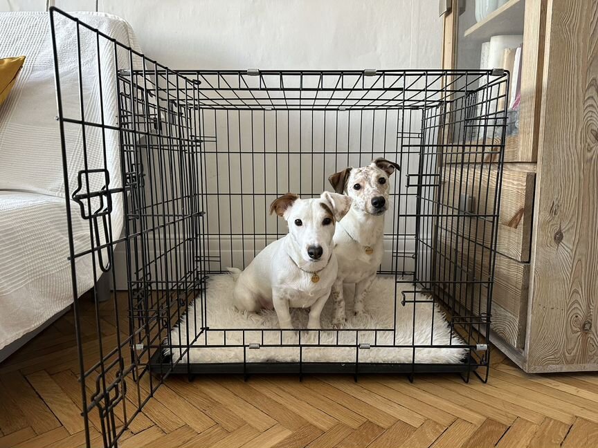 Клетка вольер для собак