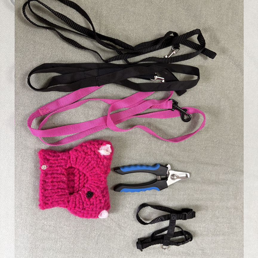 Поводок для маленьких собак