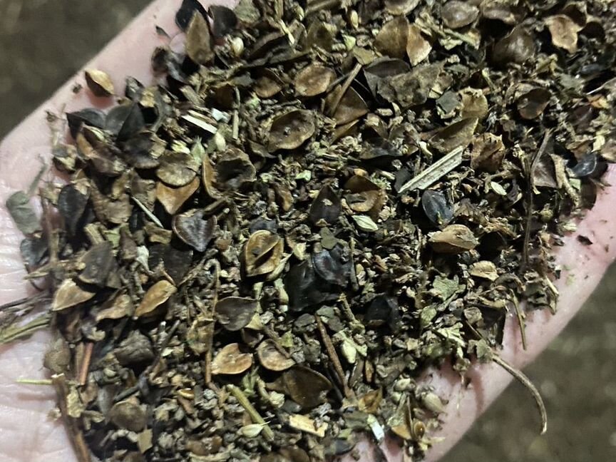 Гречишные отходы