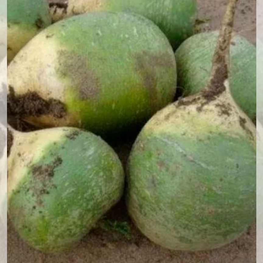 Корма для сельскохозяйственных