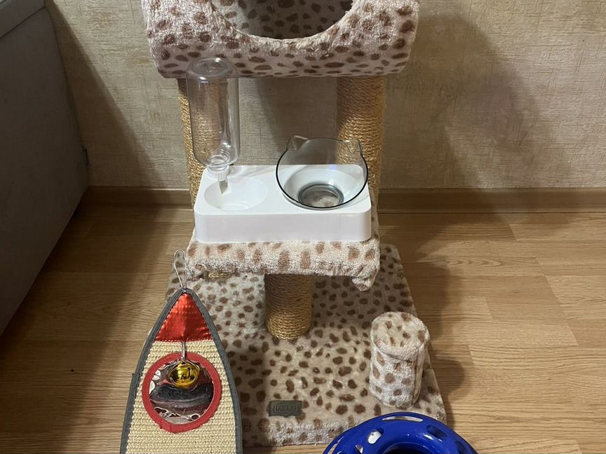 Вещи для кошки