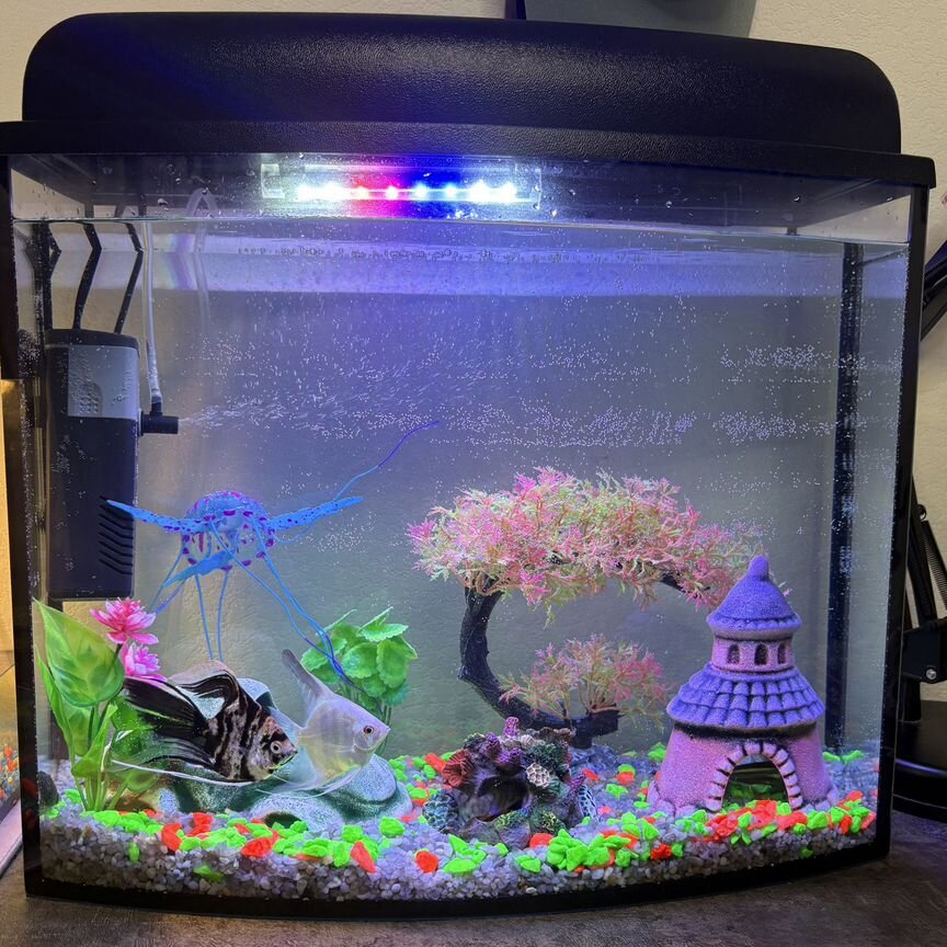 Аквариум 30 литров