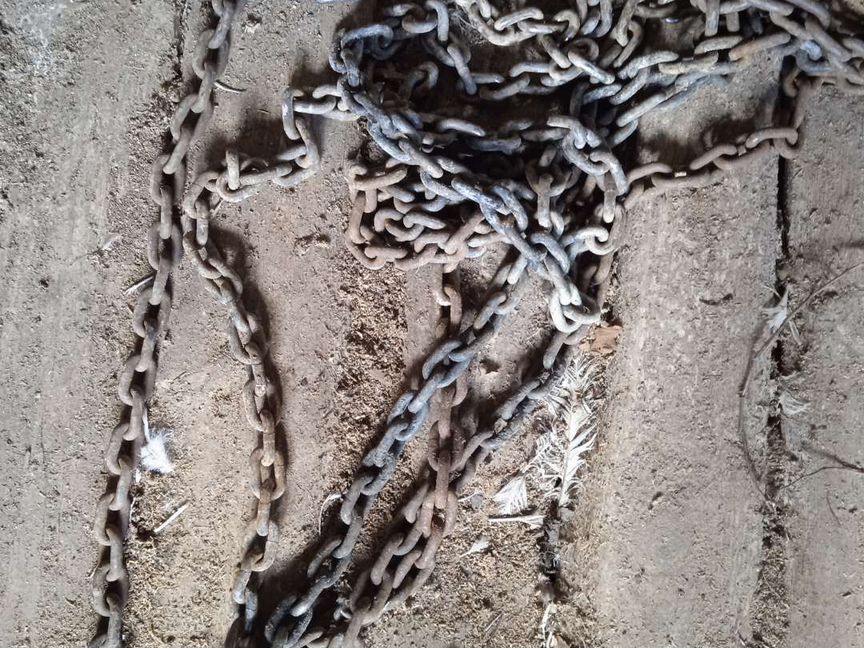 Цепь для крс