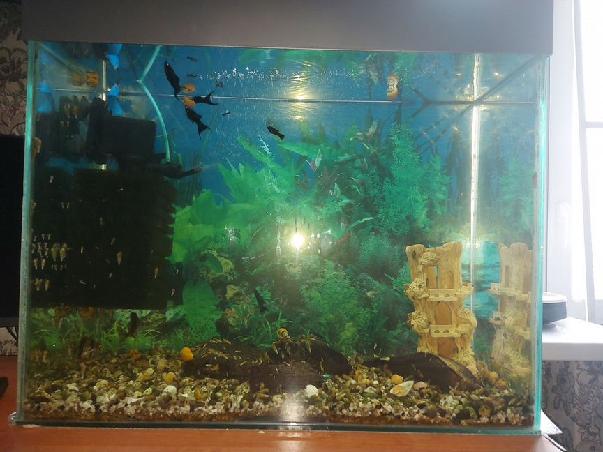 Аквариум