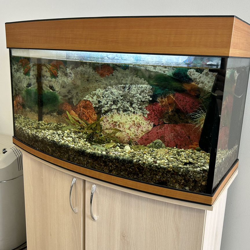 Аквариум 100 литров