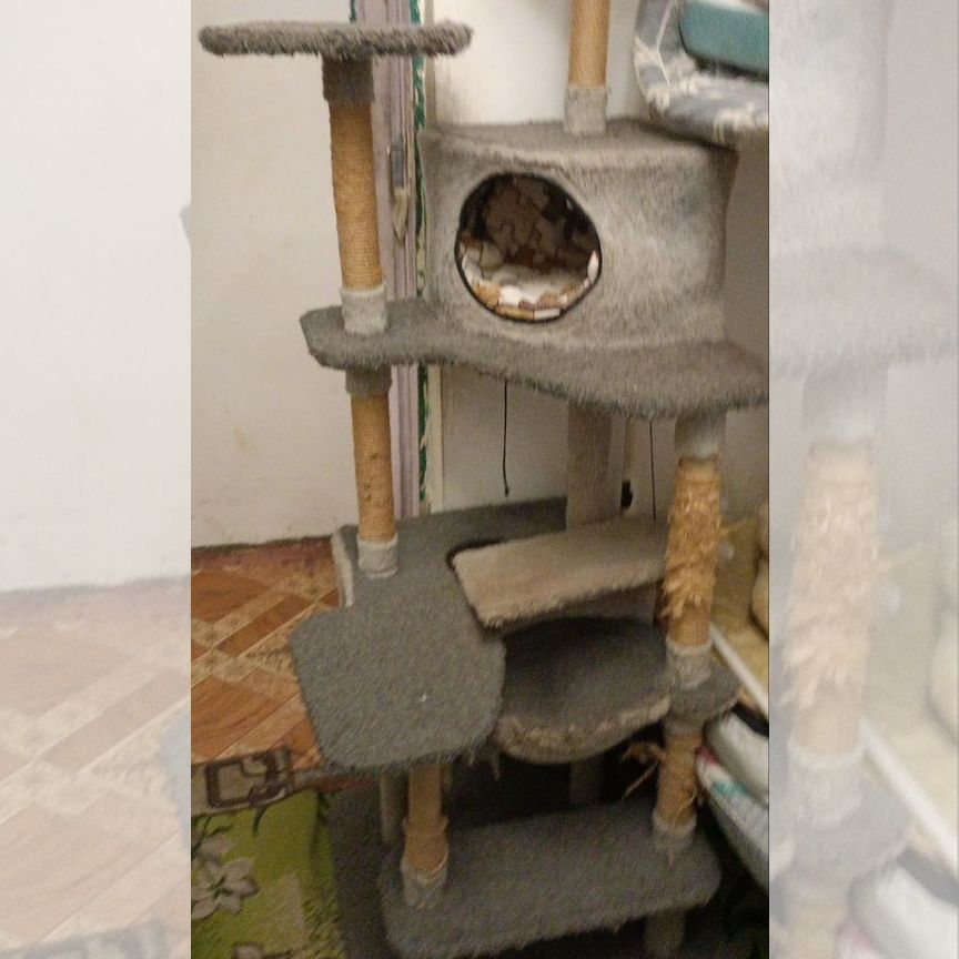 Домик для кошки с когтеточкой бу
