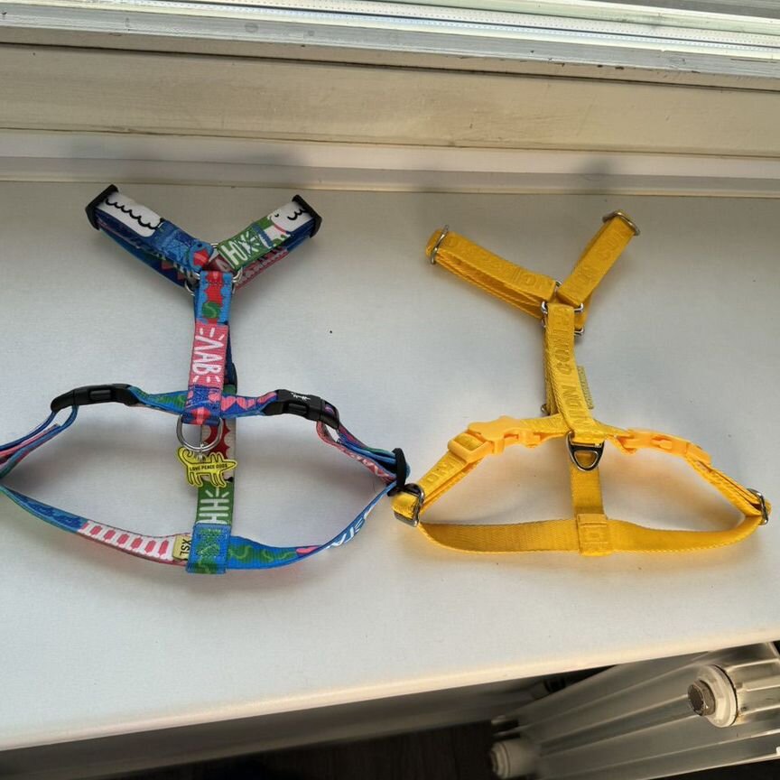 Шлейка sharik dog, шлейка companion