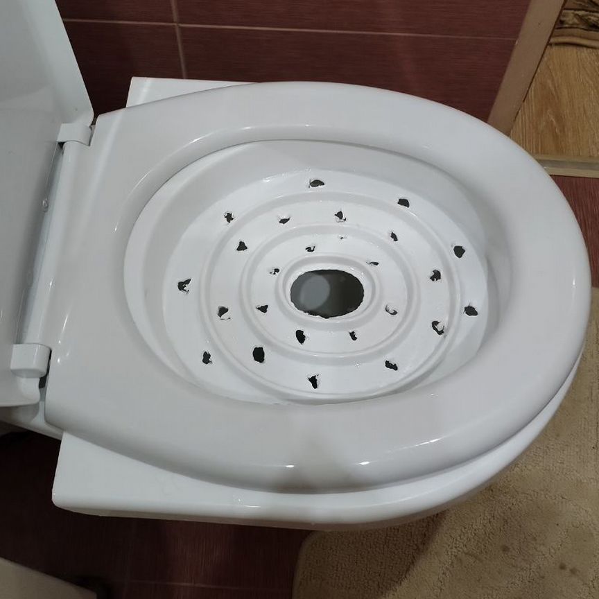 Для приучения к унитазу