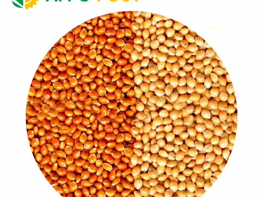 Просо желтое/ Просо красное