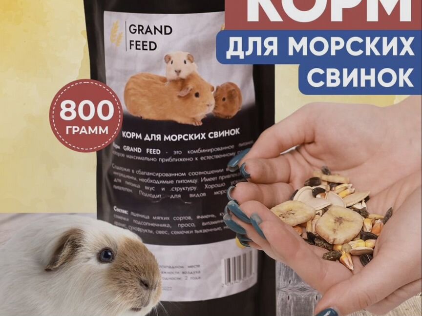 Корм для морски свинок