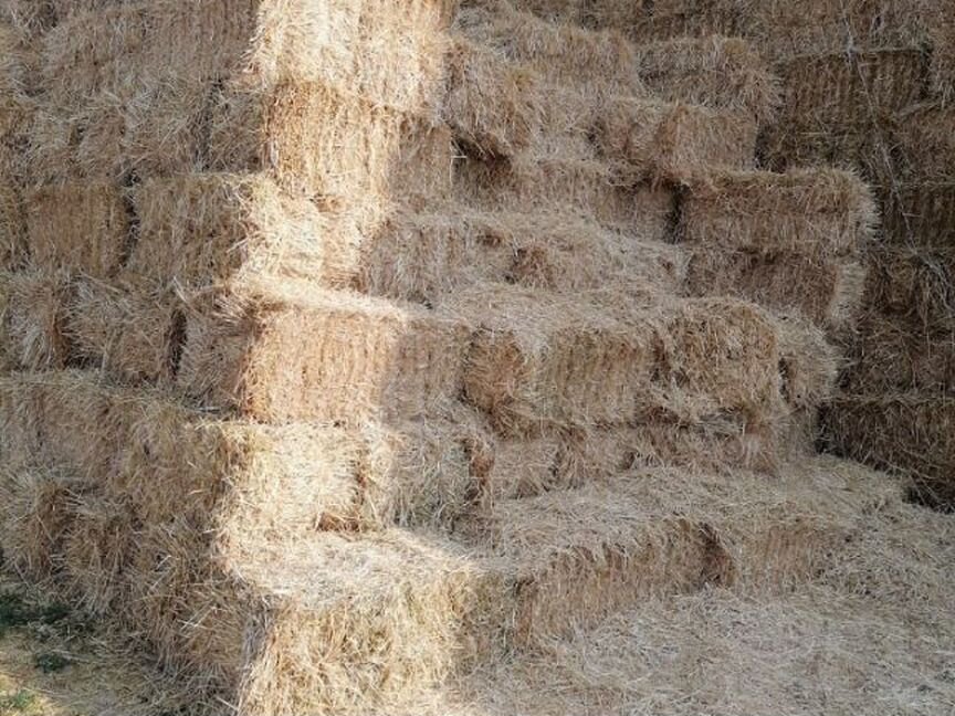 Солома в тюках