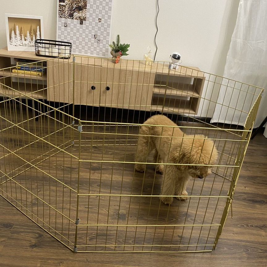 Клетка вольер для собак