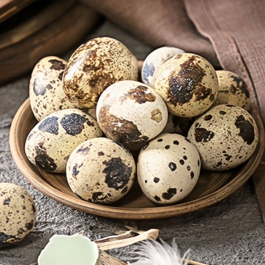 Инкубационное яйцо перепелов