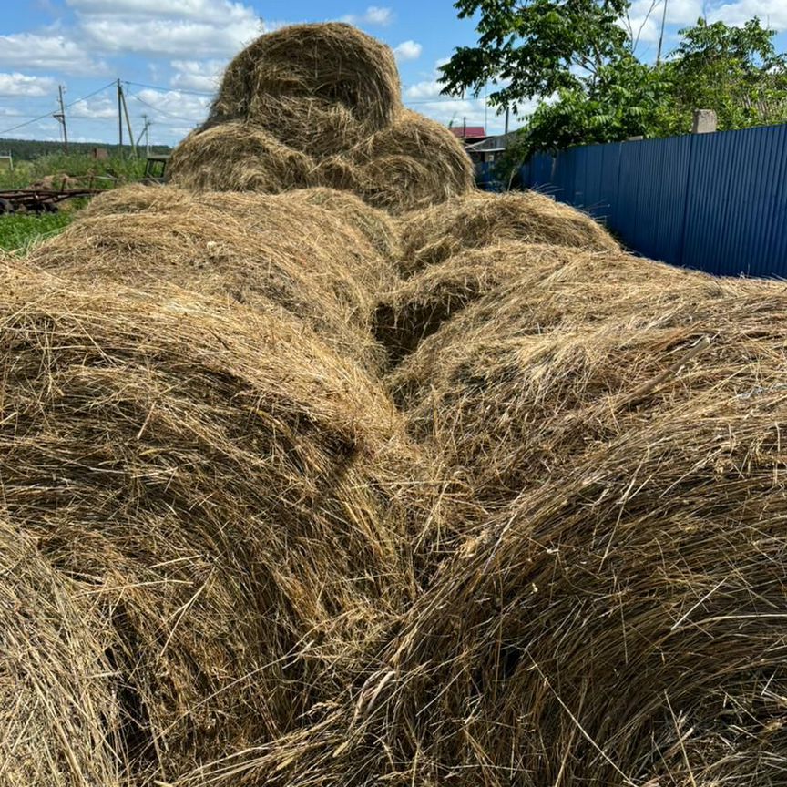 Сено в тюках